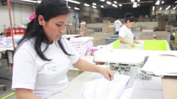 Creditex S.A.A - DIRECTORIO TEXTIL