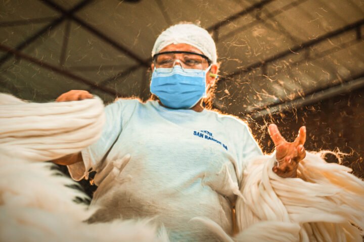 Home - DIRECTORIO TEXTIL